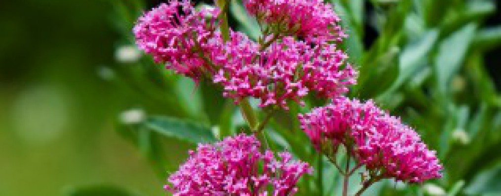 Take Over Lord! | Christine's Poetry & Reflections