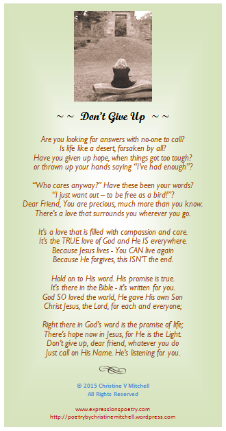 Don’t Give Up | Christine's Poetry & Reflections